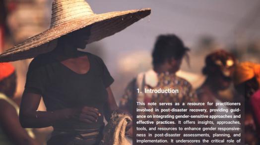 Emergency Preparedness and Response | GFDRR